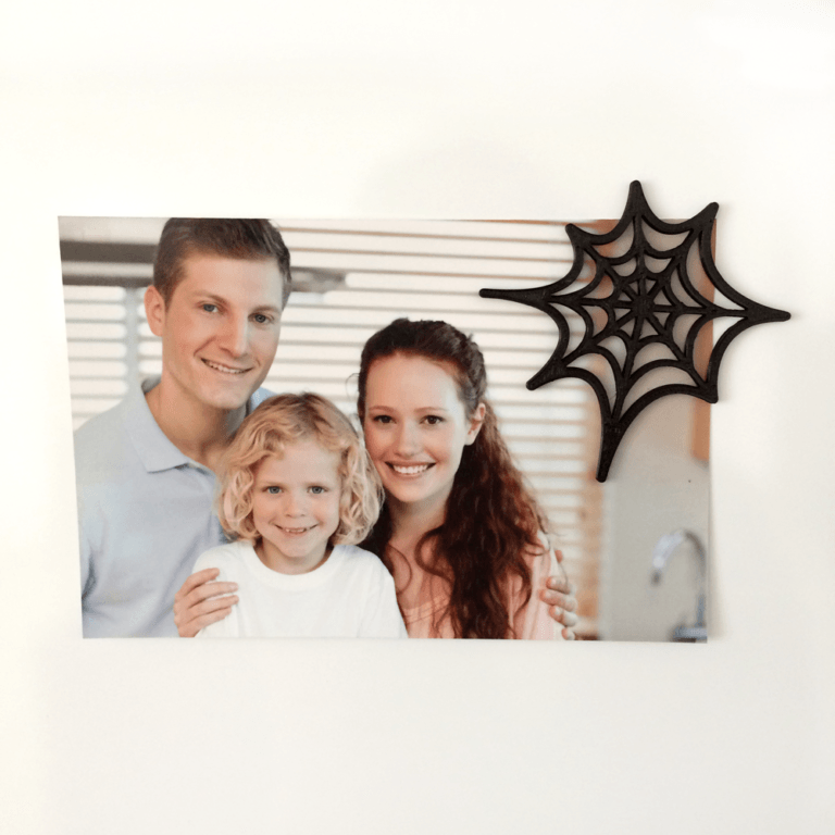 Magnetic Spiders | Layerica